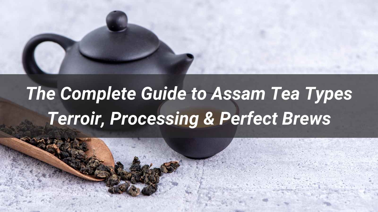 Top 10 Assam Tea Types: Terroir, Processing & Perfect Brews - XIAO TEA