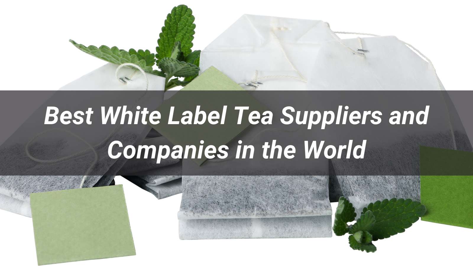 Top 10 White Label Tea Suppliers and Companies in the World - XIAO TEA
