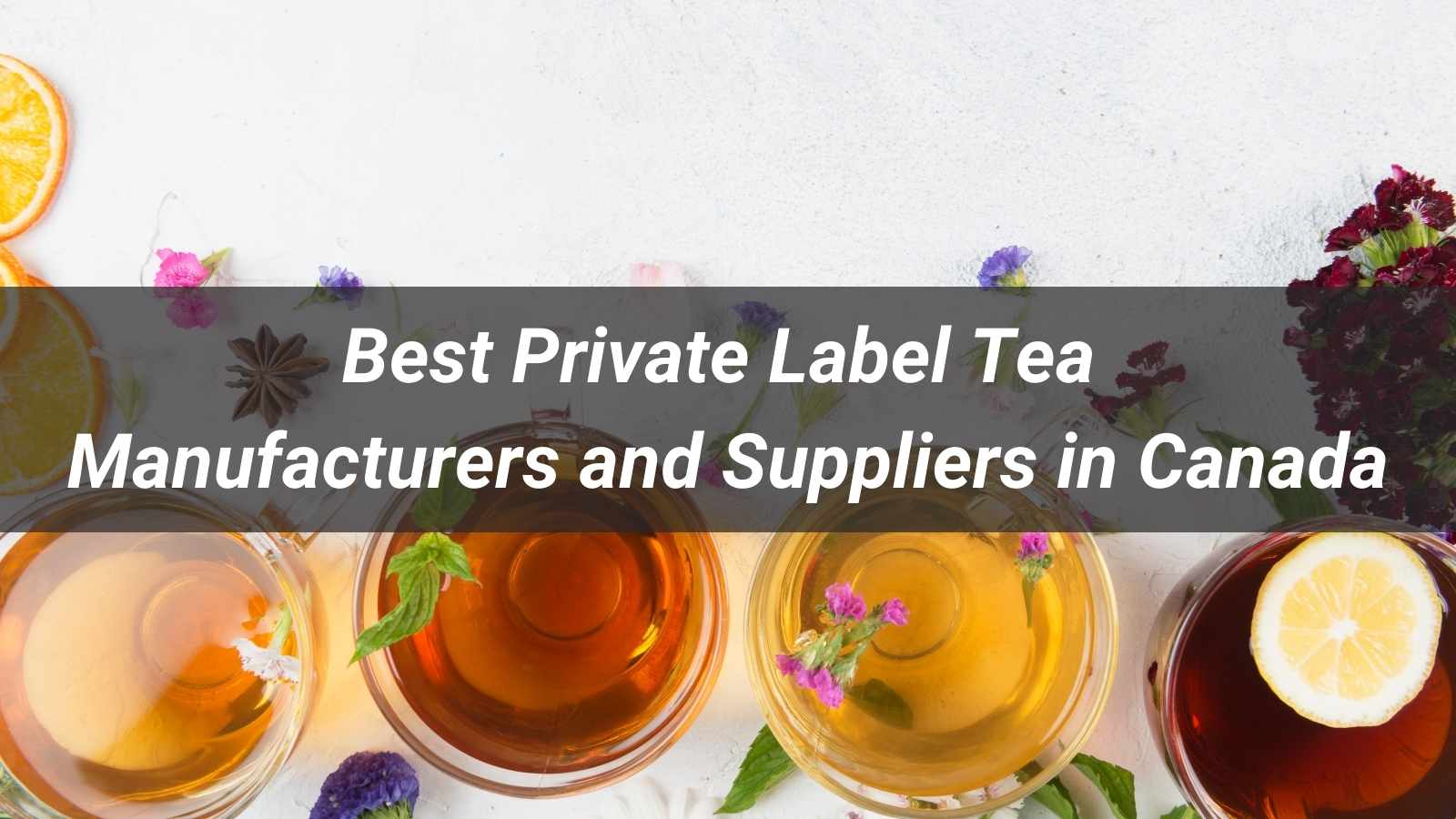 Top 5 Private Label Tea Manufacturers in Canada 2026 - XIAO TEA