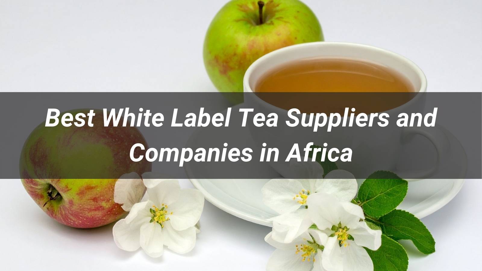Top 5 White Label Tea Suppliers and Companies in Africa - XIAO TEA